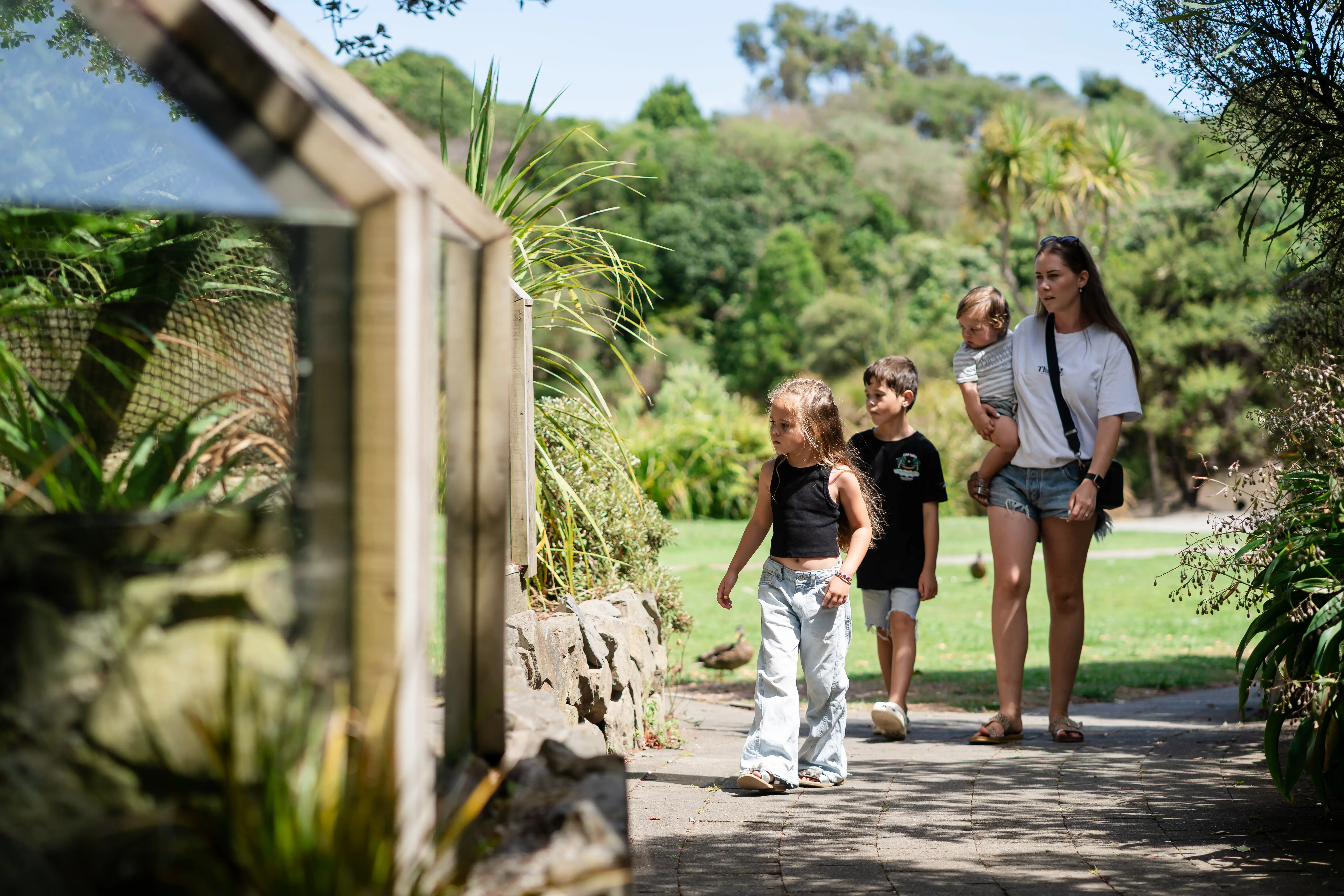 The story of Ngā Manu Nature Reserve